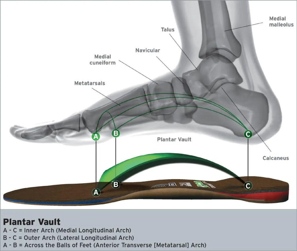 Custom Orthotics | Better Life Chiropractic